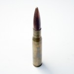 .50 Cal Dummy Round - The Collings Foundation